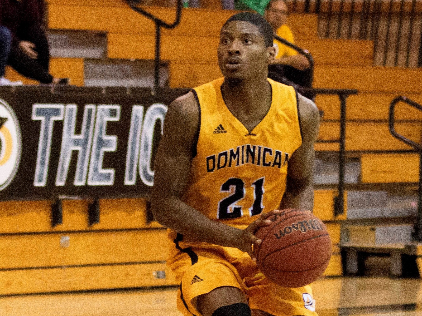 Dominique Taplin - 2014-15 - Men's Basketball - Dominican University of ...