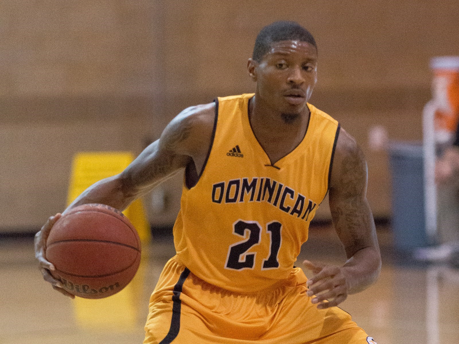 Dominique Taplin - 2014-15 - Men's Basketball - Dominican University of ...