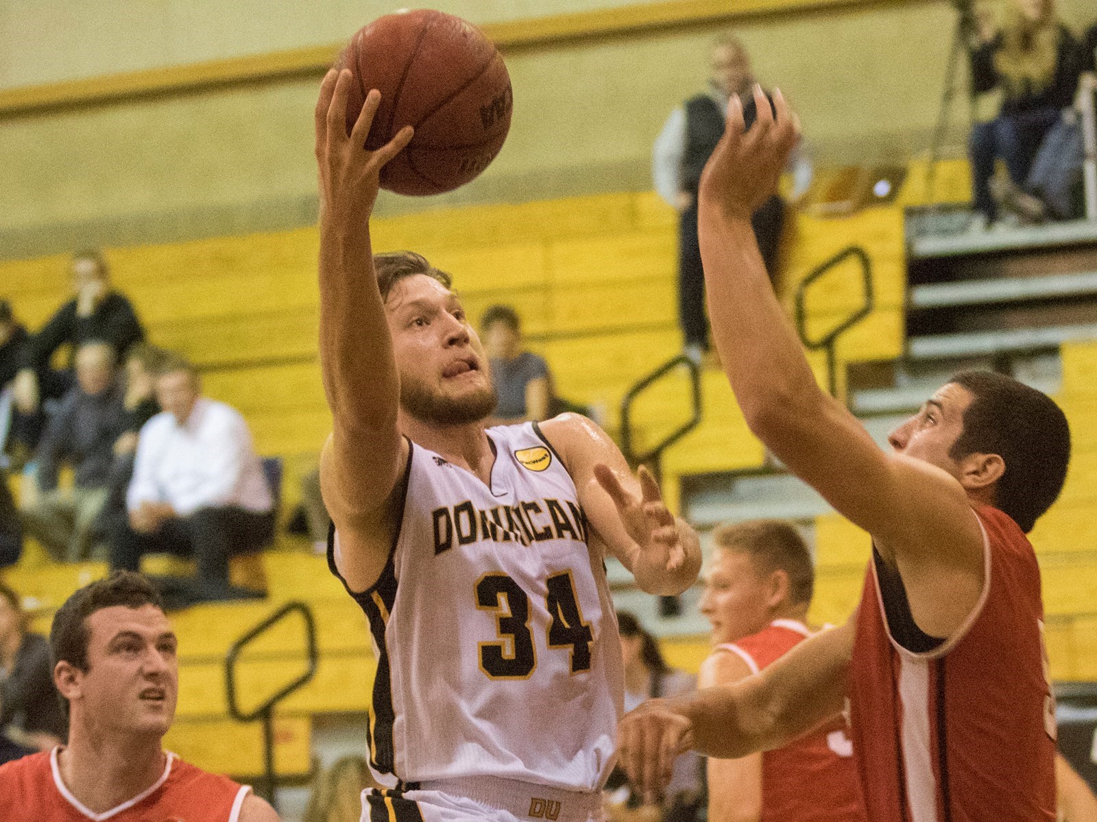 Seth Turner - 2016-17 - Men's Basketball - Dominican University of ...