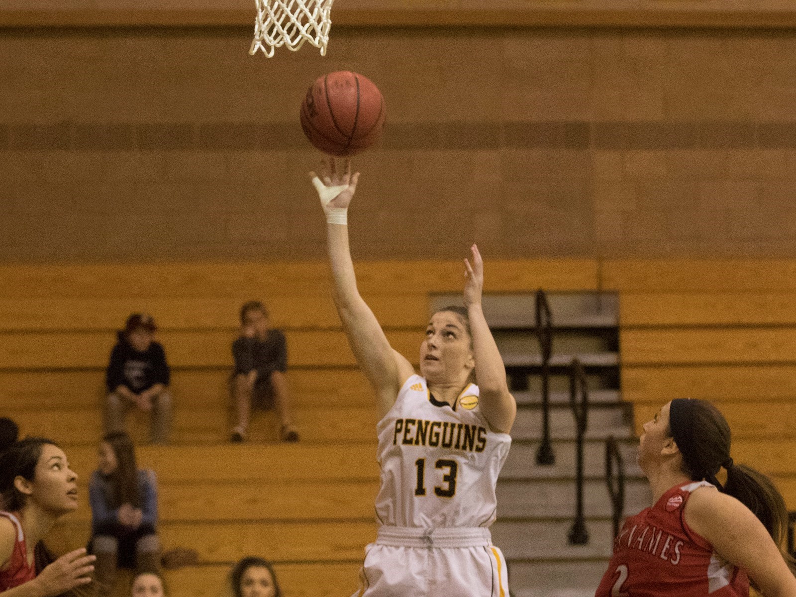 Jessy Marshall - 2015-16 - Women's Basketball - Dominican University of ...