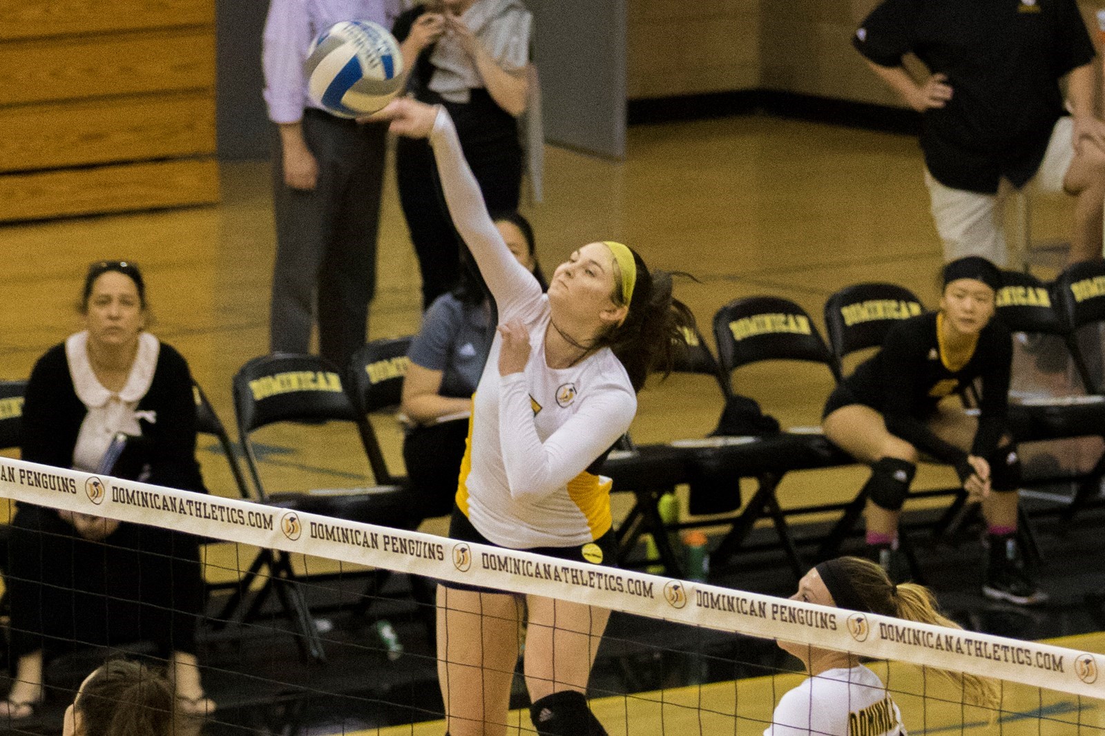 Aimee Steinwand - 2017 - Women's Volleyball - Dominican University of ...