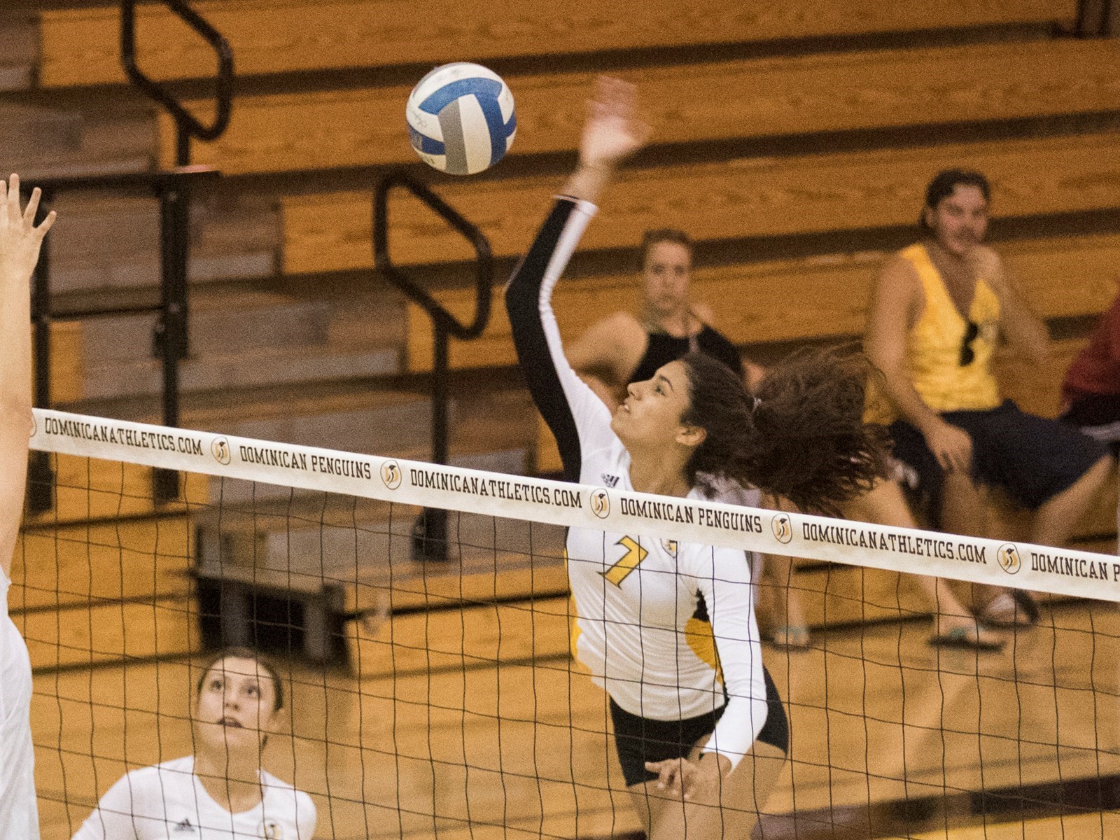 Brittany Latigue - 2018 - Women's Volleyball - Dominican University of ...