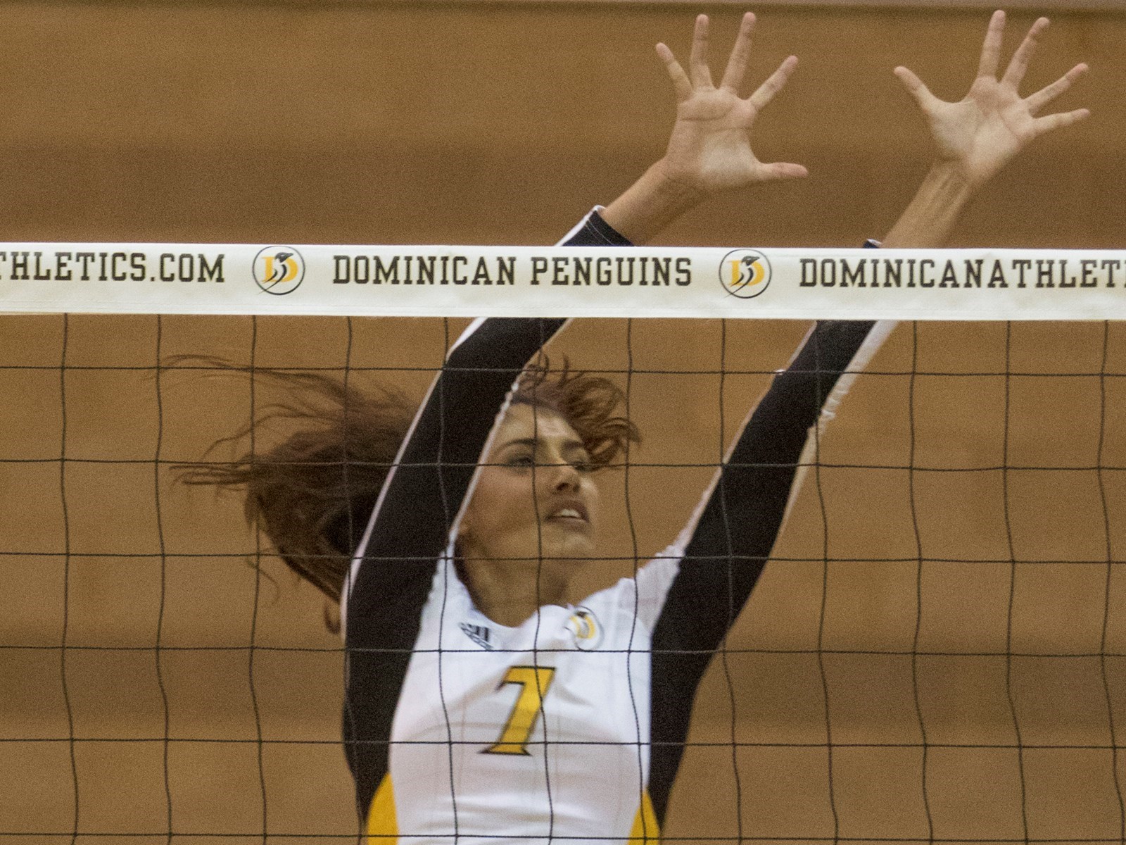 Brittany Latigue - 2018 - Women's Volleyball - Dominican University of ...