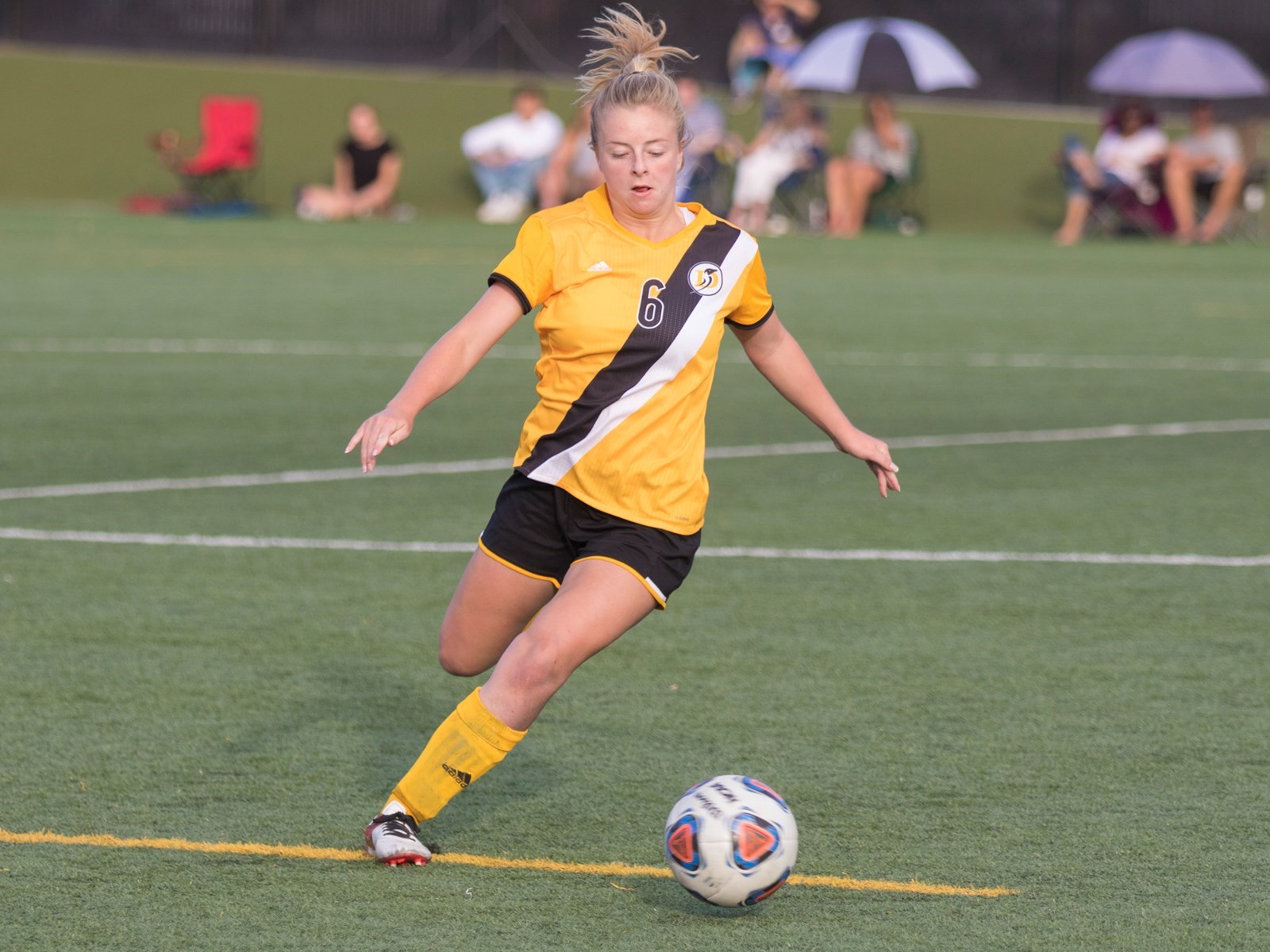 Katrina Cline - 2017 - Women's Soccer - Dominican University of ...