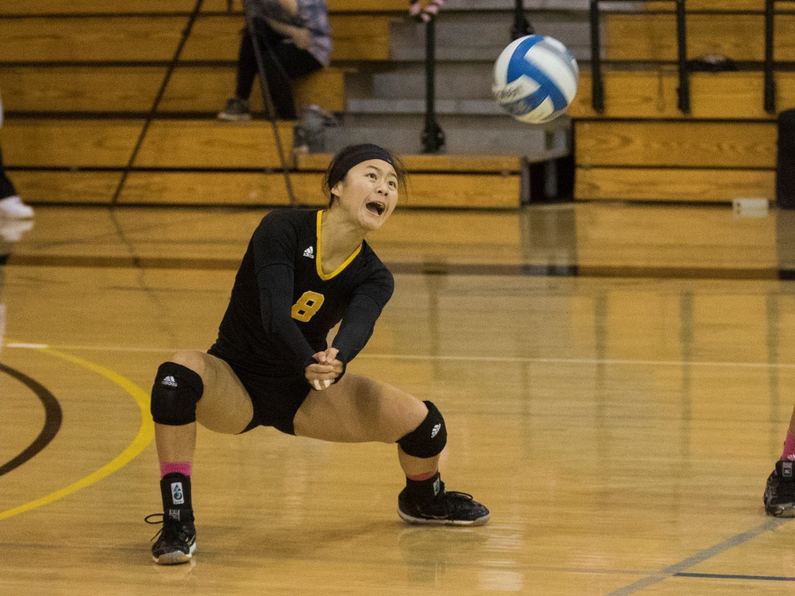 Amanda Lee - 2016 - Women's Volleyball - Dominican University of ...