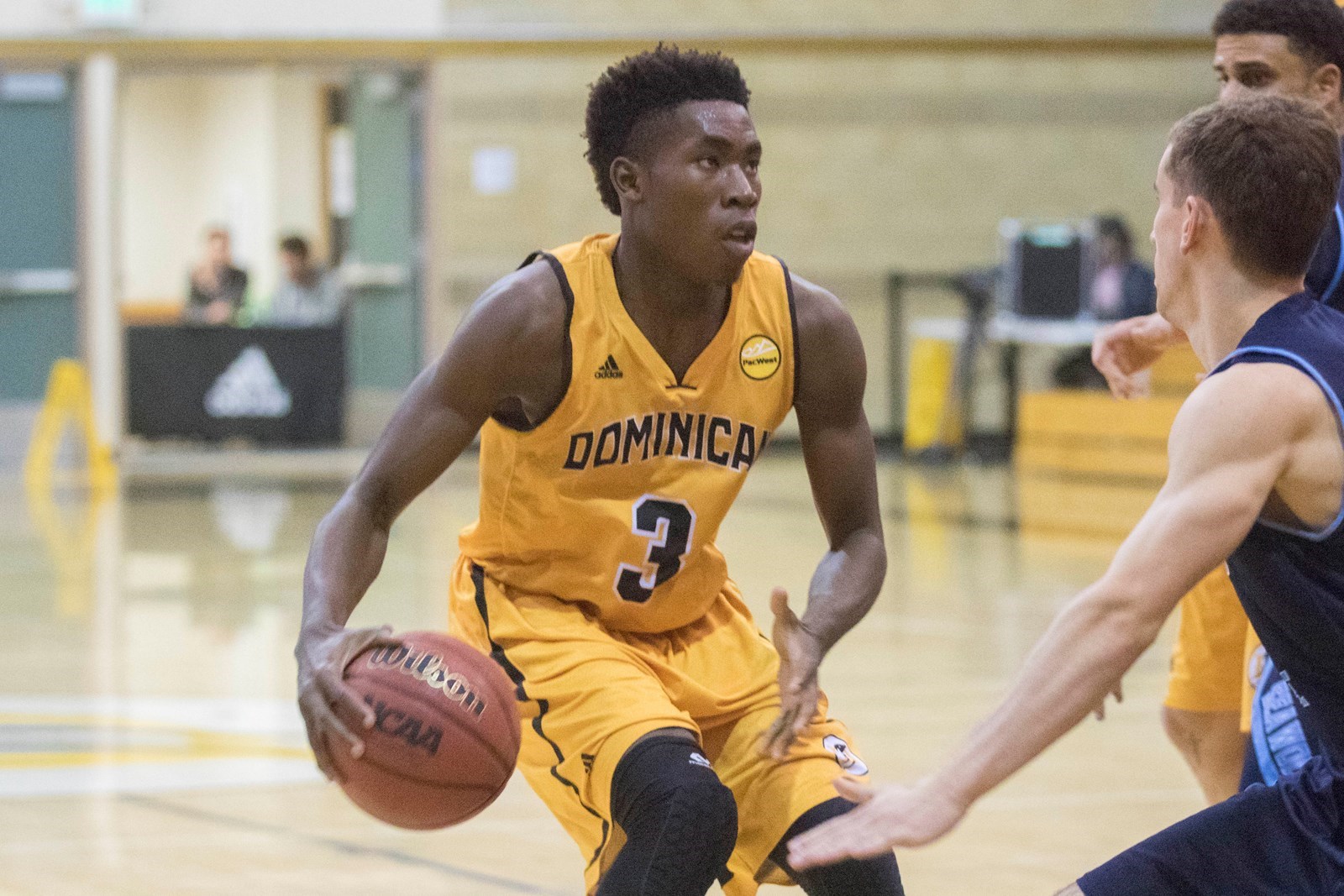 Reverend Maduakor - 2017-18 - Men's Basketball - Dominican University ...