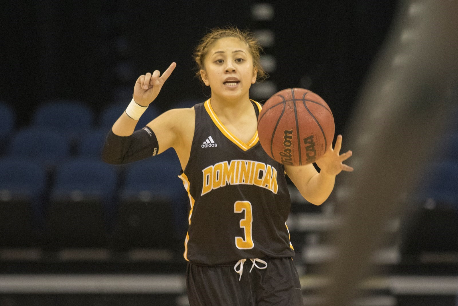 Jade Castro - 2016-17 - Women's Basketball - Dominican University of ...