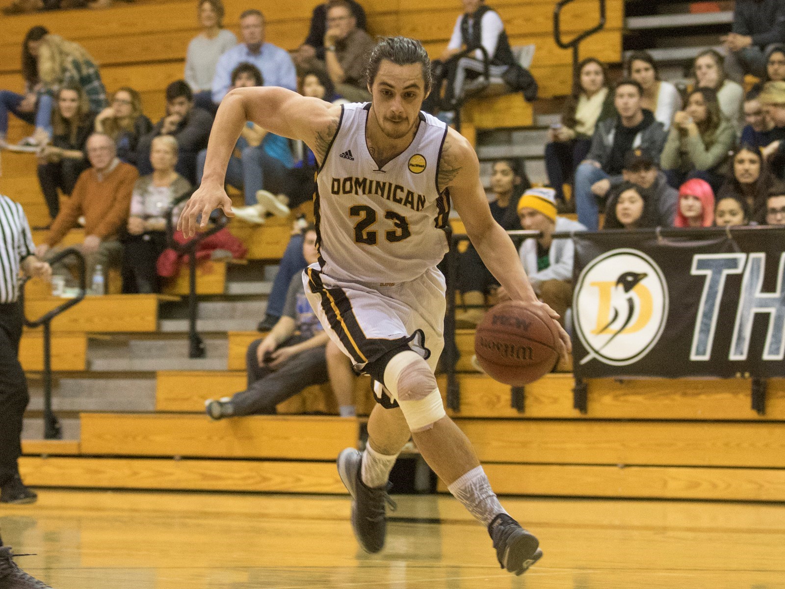 Josh Ramirez - 2016-17 - Men's Basketball - Dominican University of ...