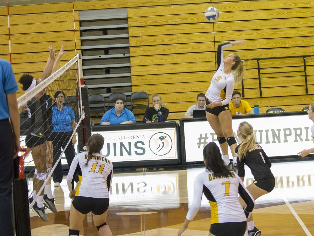 Catherine Johnson - 2020 - Women's Volleyball - Dominican University of ...