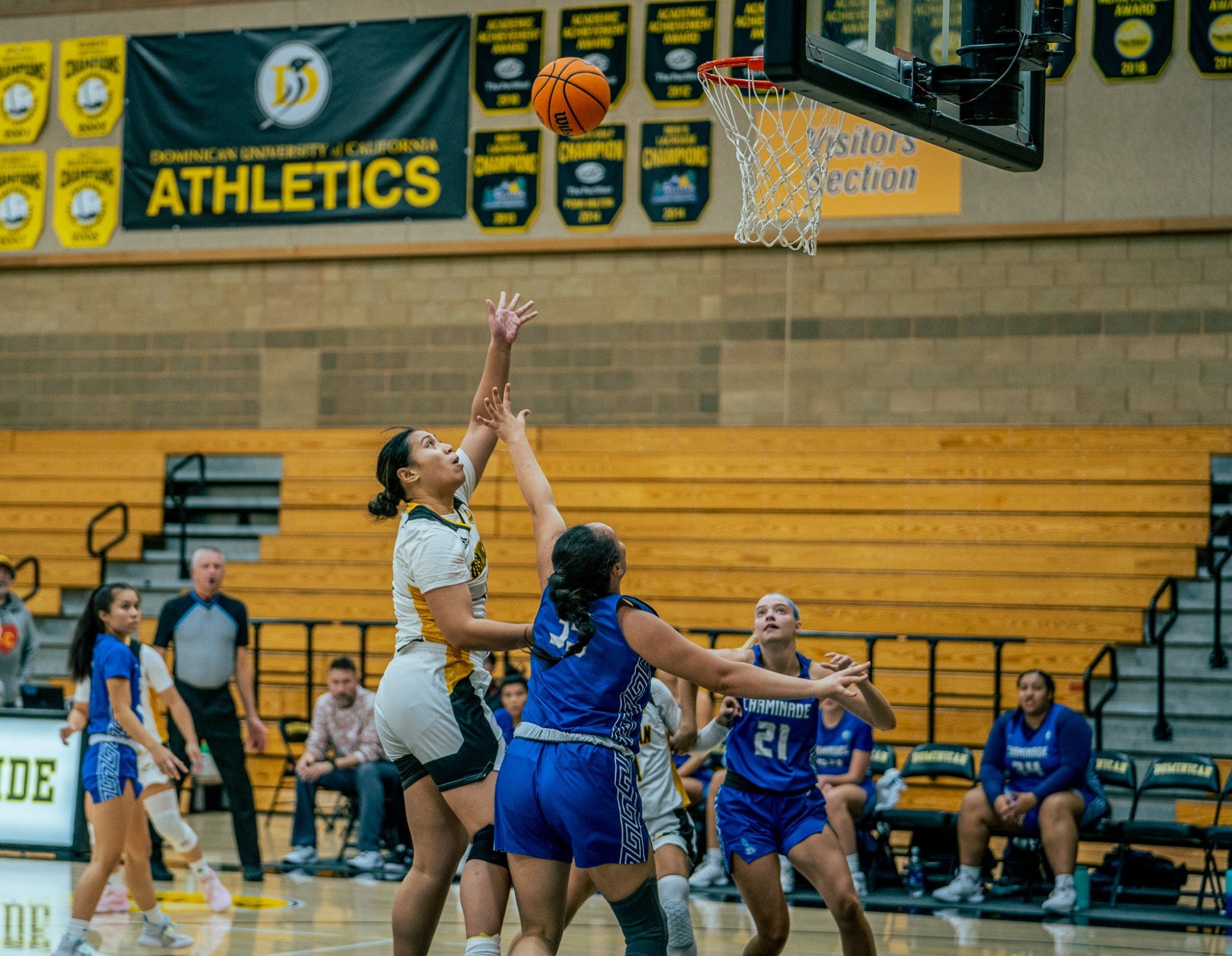 Dominican dominates both sides of the floor in lopsided victory over ...