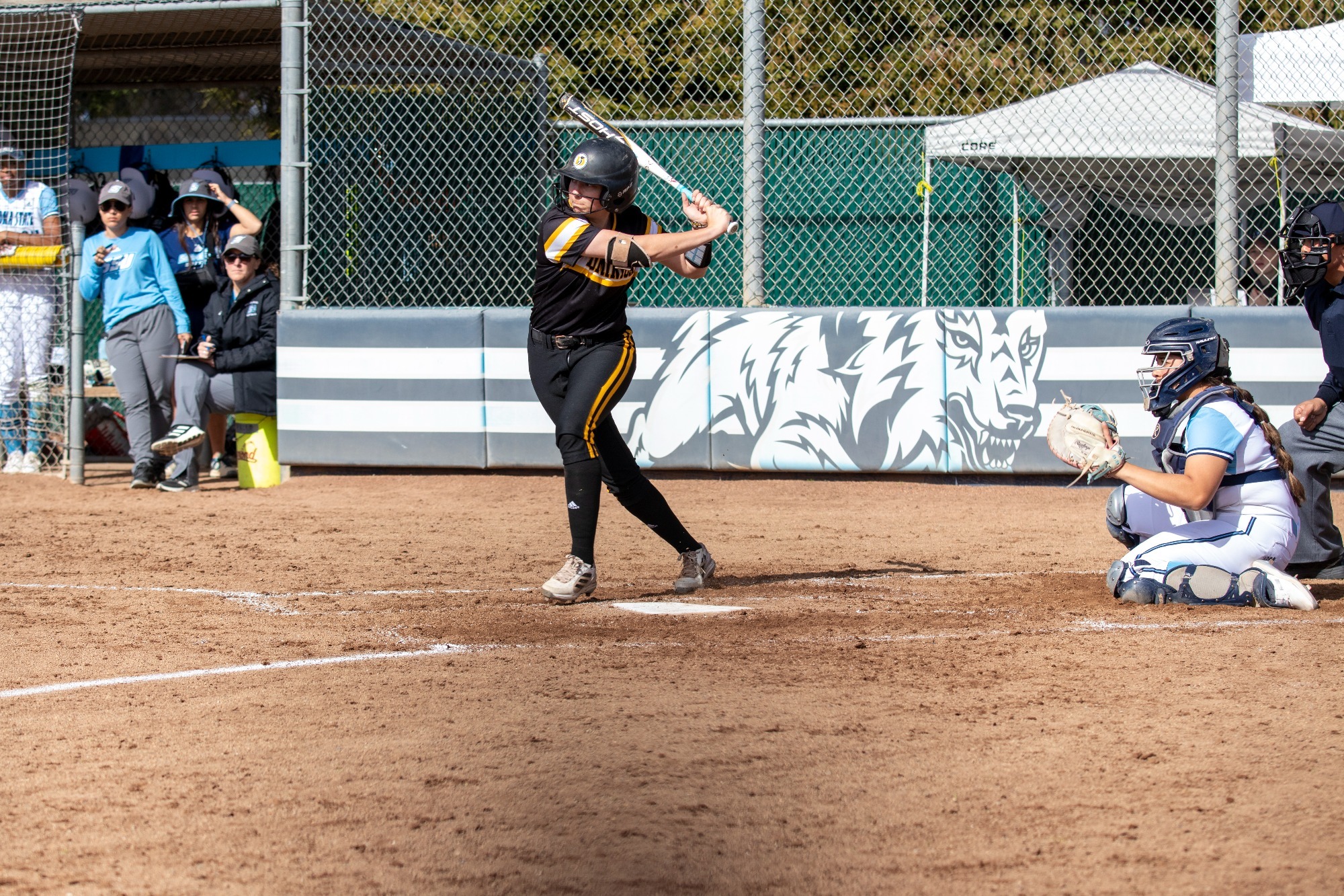 Dominican falls to Montana State, Billings, while adding victory over ...