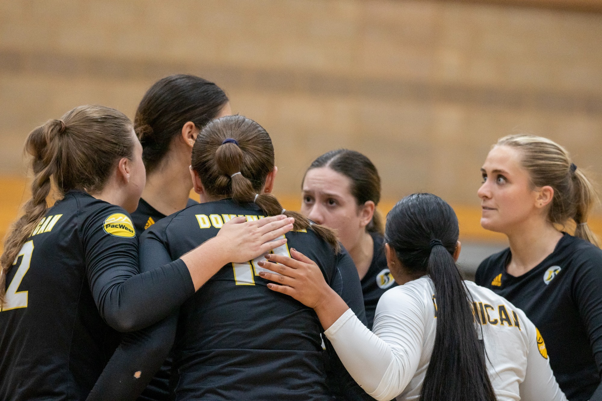Penguins Fight Tough on Senior Night - Dominican University of ...