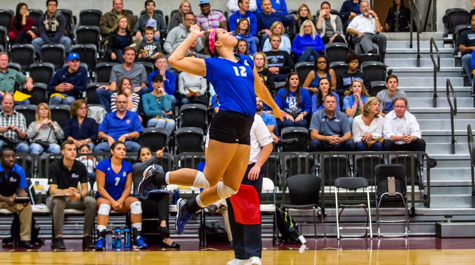 Grace Schofield - 2018 - Women's Volleyball - Drake University Athletics