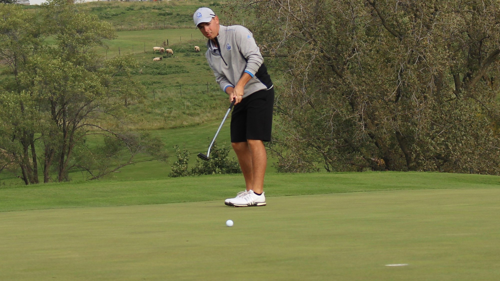 Matt Lavery - 2017-18 - Men's Golf - Drake University Athletics