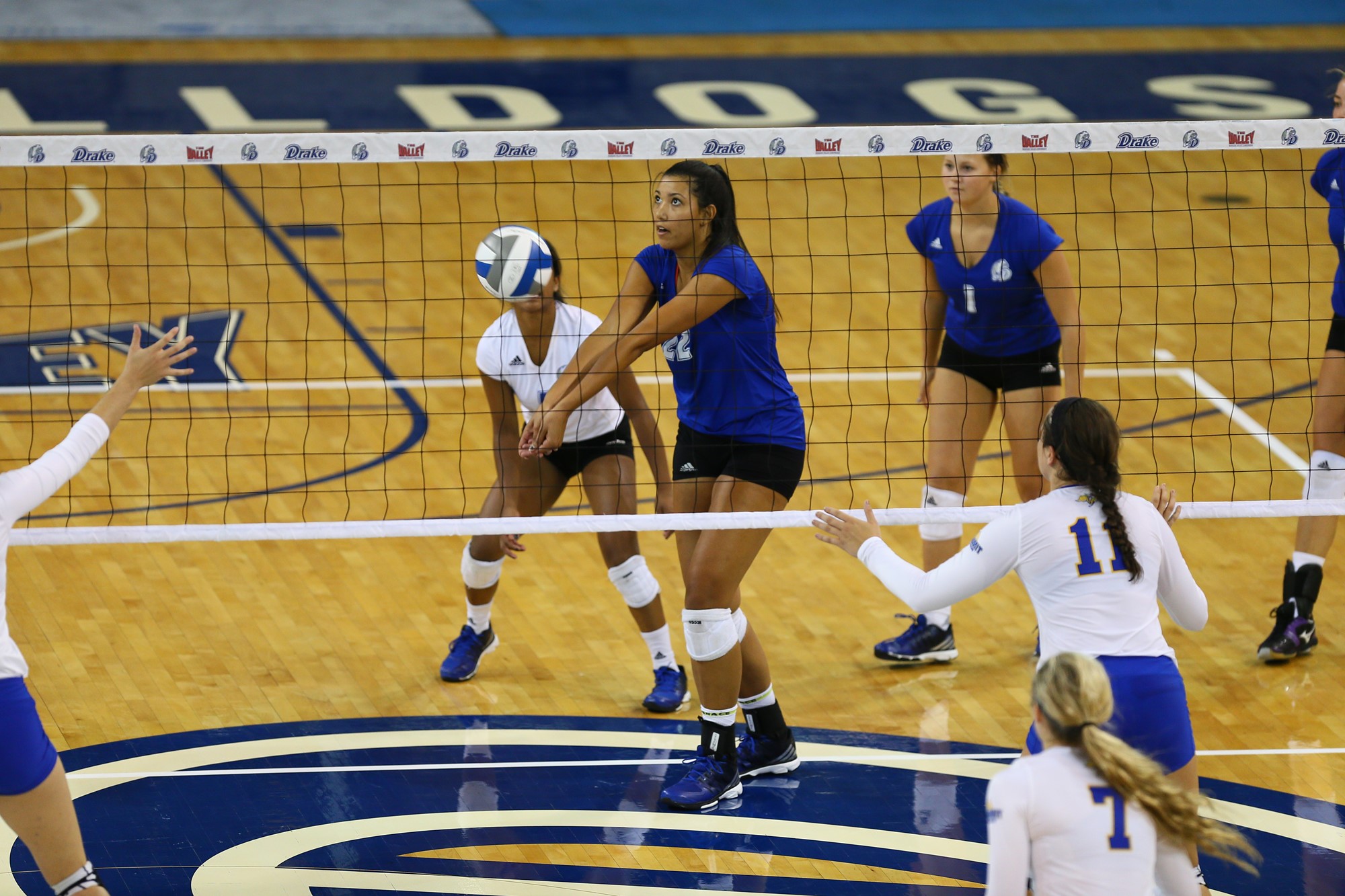 Kameo Pope - 2016 - Women's Volleyball - Drake University Athletics