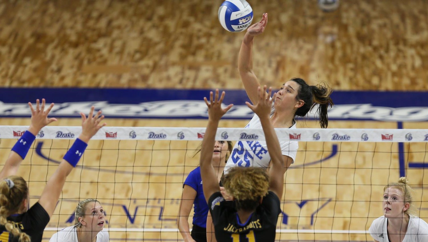 Cathryn Cheek - 2018 - Women's Volleyball - Drake University Athletics