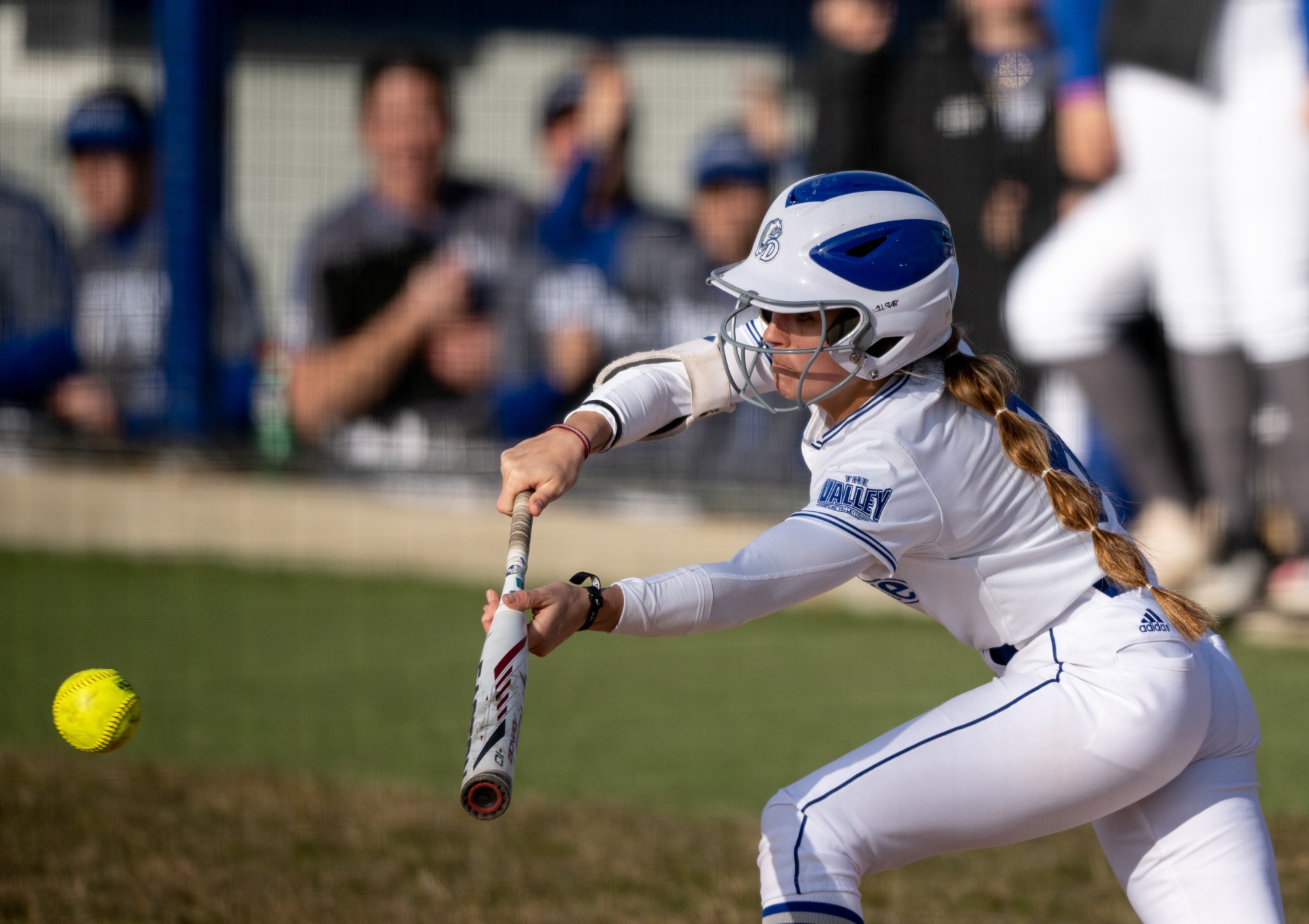 Haylee Lehman - 2024 - Softball - Drake University Athletics