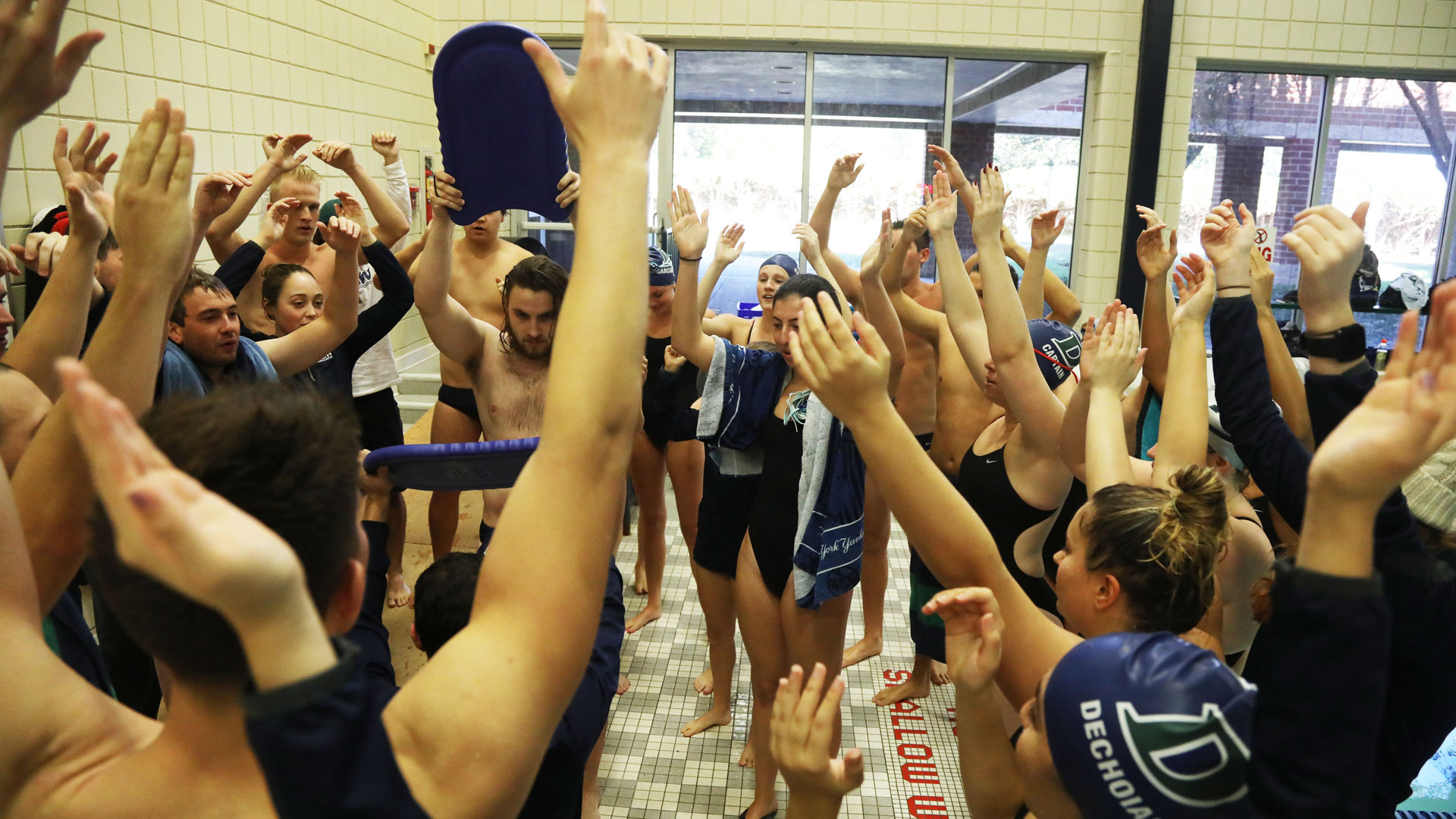 Swimming & Diving Captures CSCAA Scholar All-America Honors; Women ...