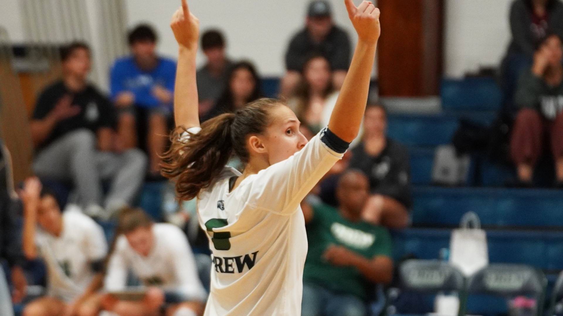 Rangers Battle Stevens in Tight Four-Set Match - Drew University Athletics