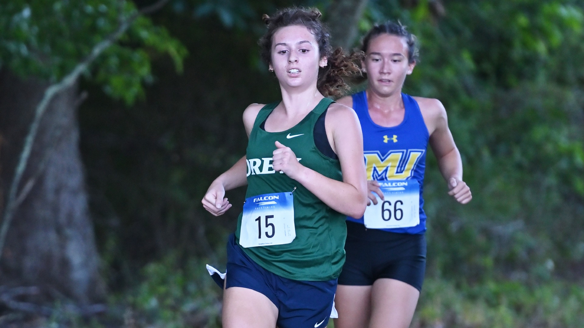 Hayley Amisano - Women's Cross Country - Drew University Athletics