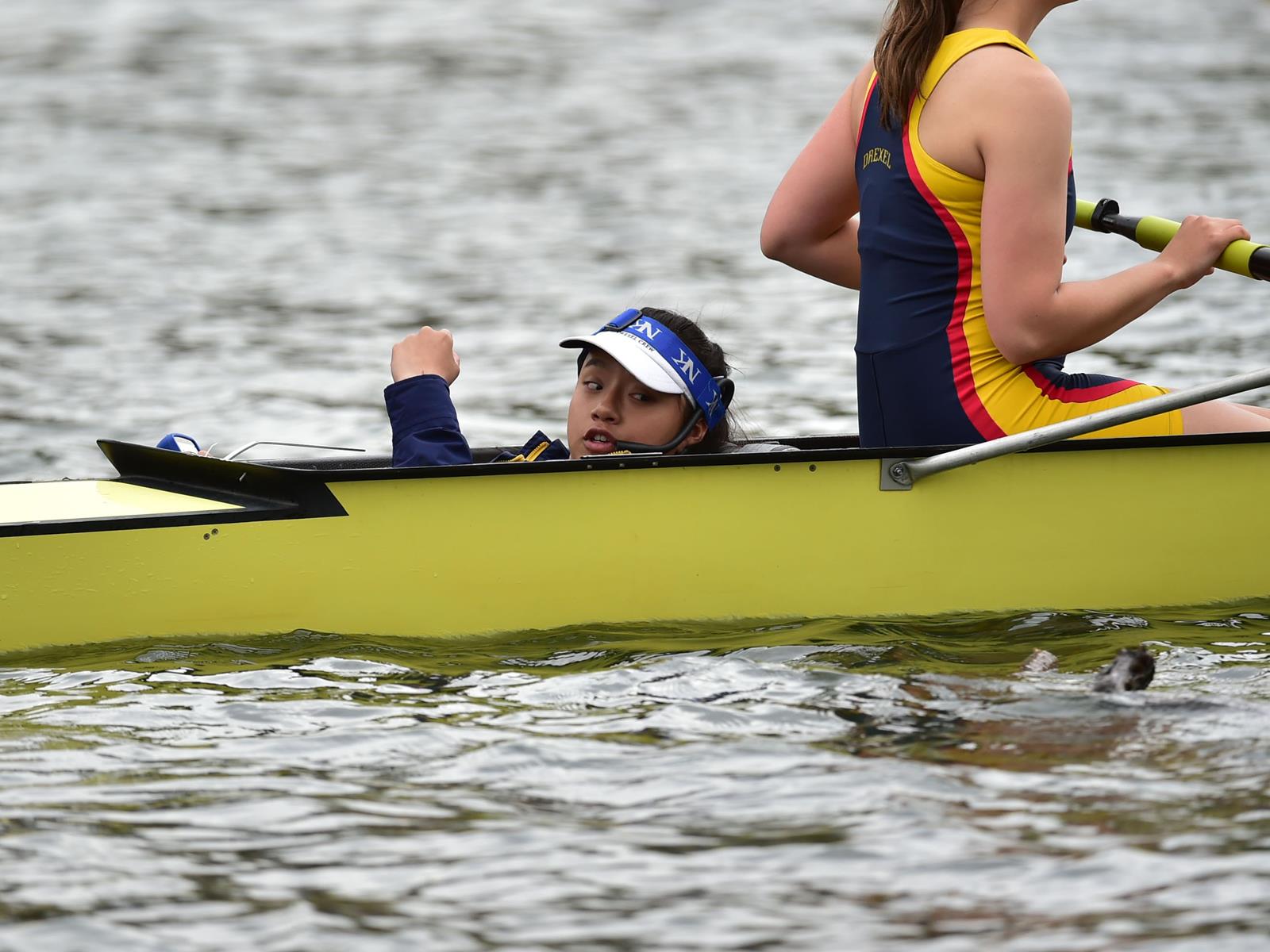 Hayley Roth - 2017-18 - Women's Rowing - Drexel University Athletics