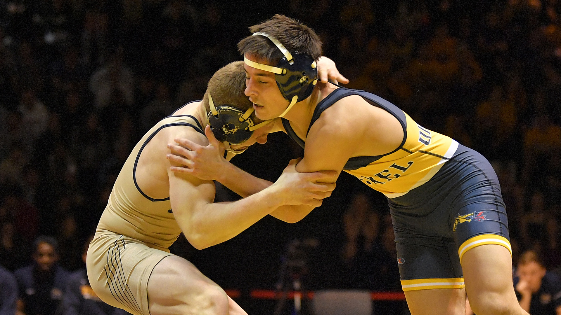 Chase Shields - 2021-22 - Wrestling - Drexel University Athletics