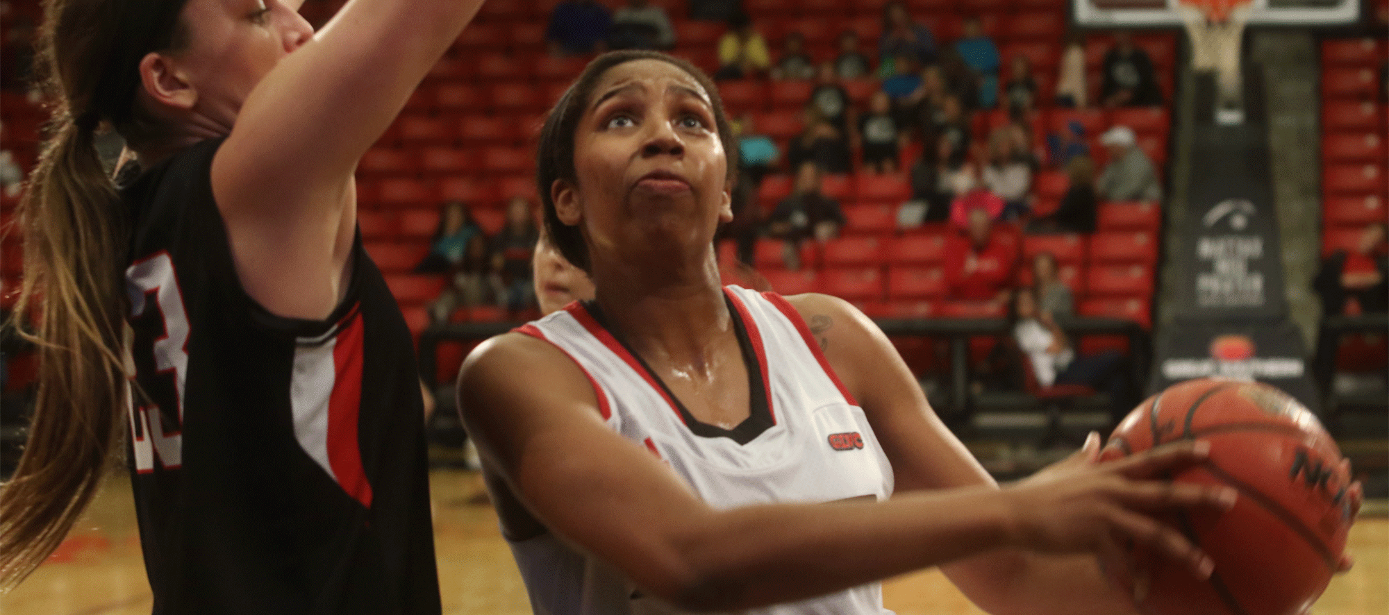 Briana Jones - 2016-17 - Women's Basketball - Drury University Athletics