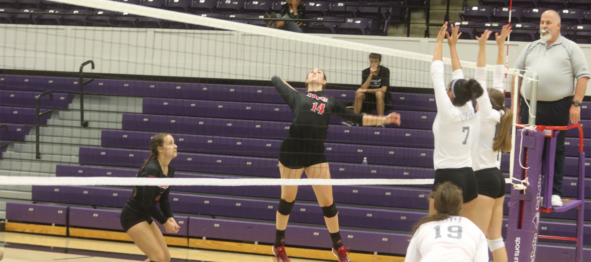 Sarah Kite - 2018 - Volleyball - Drury University Athletics