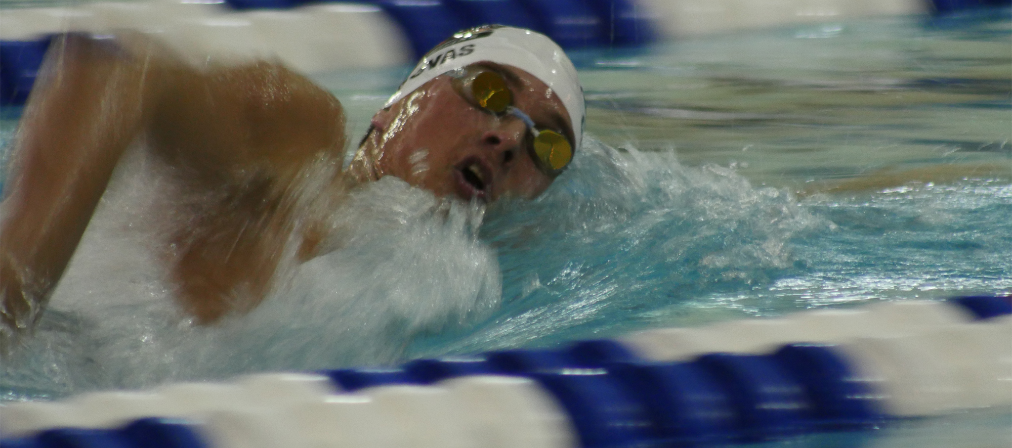 Joan Casanovas - 2017-18 - Men's Swim & Dive - Drury University Athletics