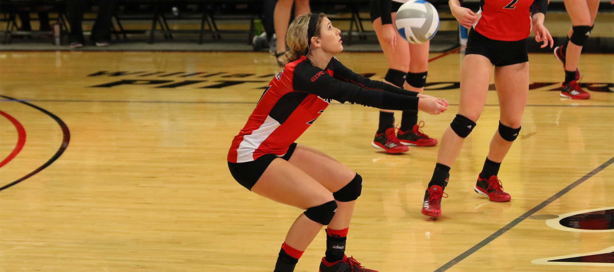 Paige Perry - 2019 - Volleyball - Drury University Athletics