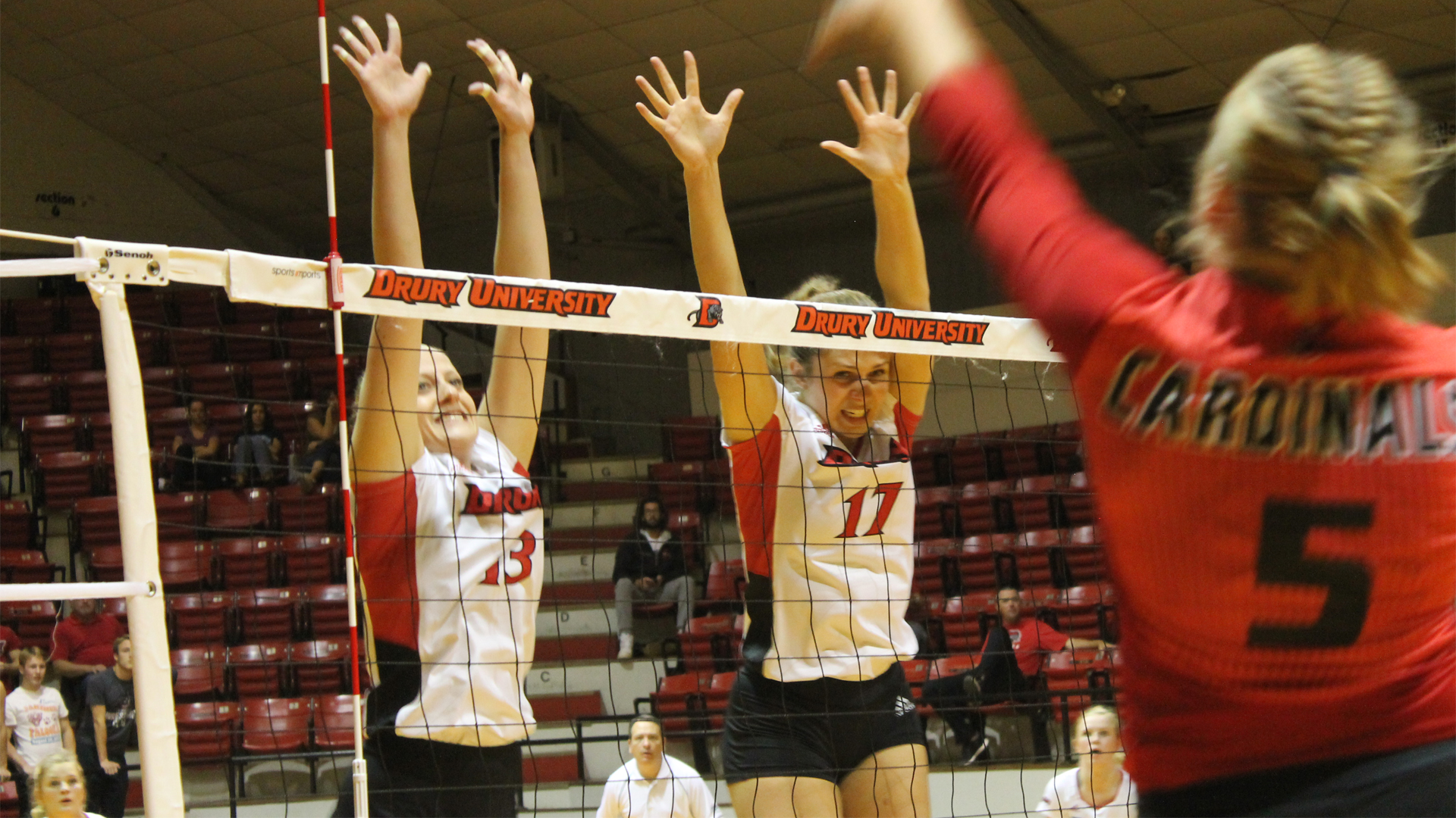 Evan Larson - 2019 - Volleyball - Drury University Athletics