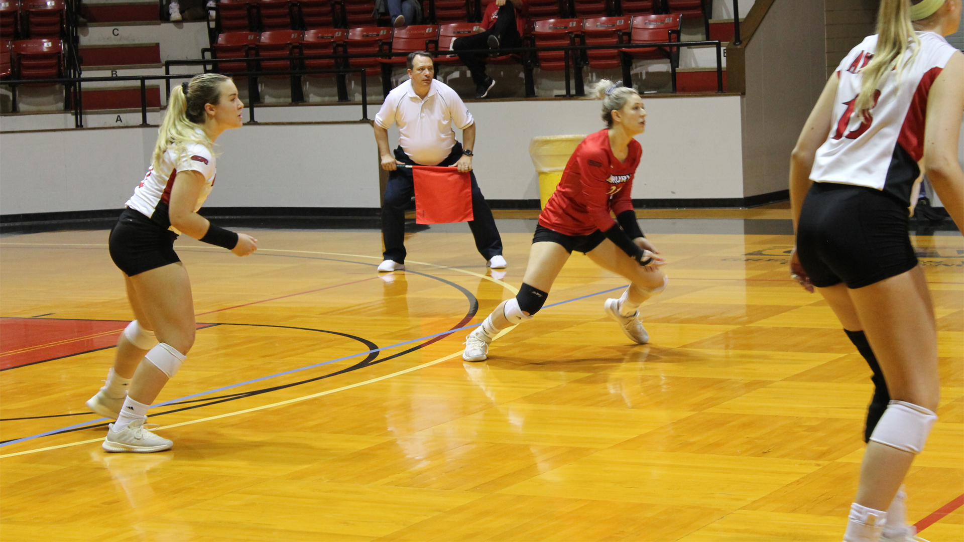Paige Perry - 2019 - Volleyball - Drury University Athletics