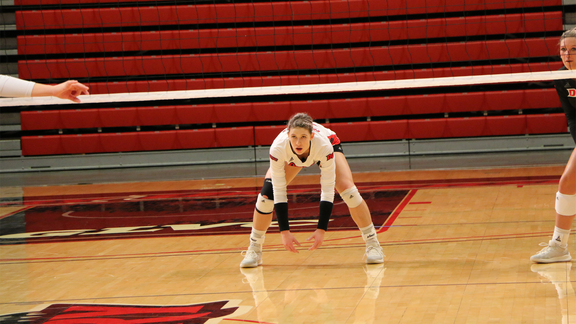 Paige Perry - 2019 - Volleyball - Drury University Athletics