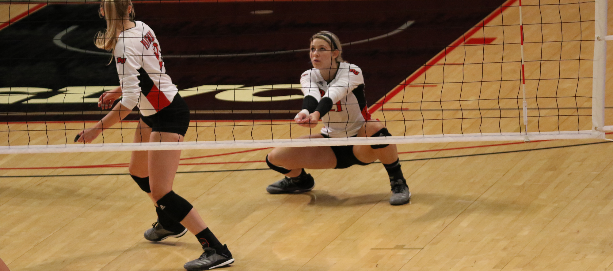 Paige Perry - 2019 - Volleyball - Drury University Athletics