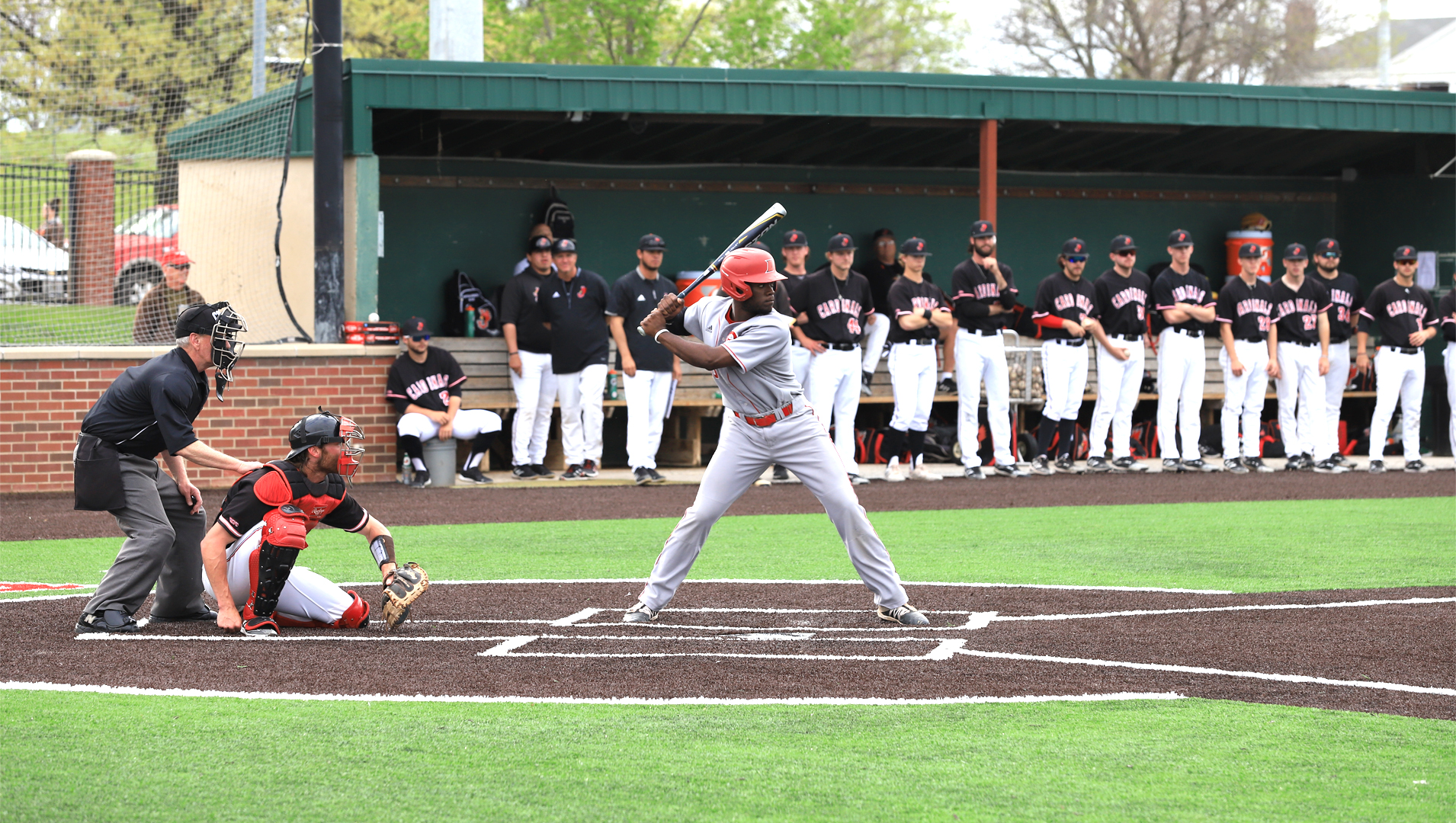 Wes Collins - 2024 - Baseball - Drury University Athletics