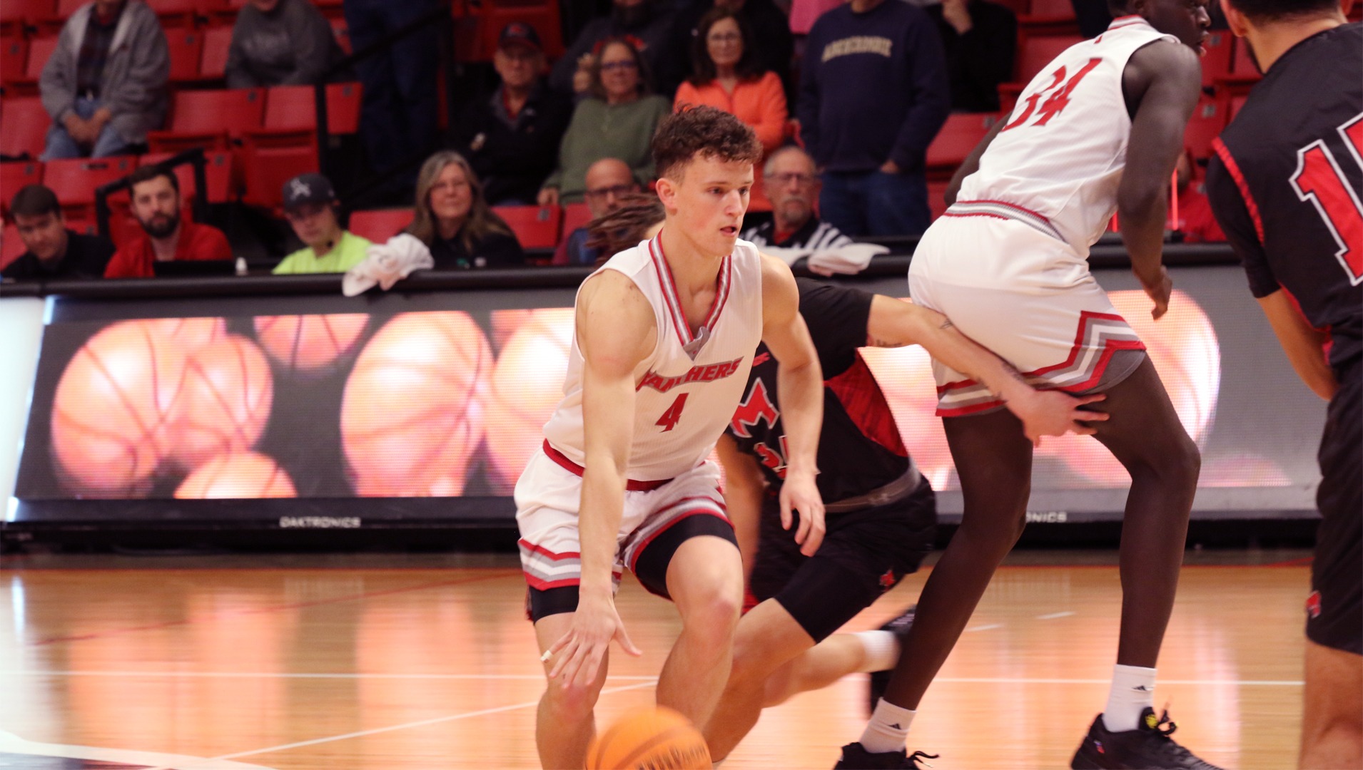 Logan Applegate's 29 points helps Panthers get past Maryville - Drury University Athletics