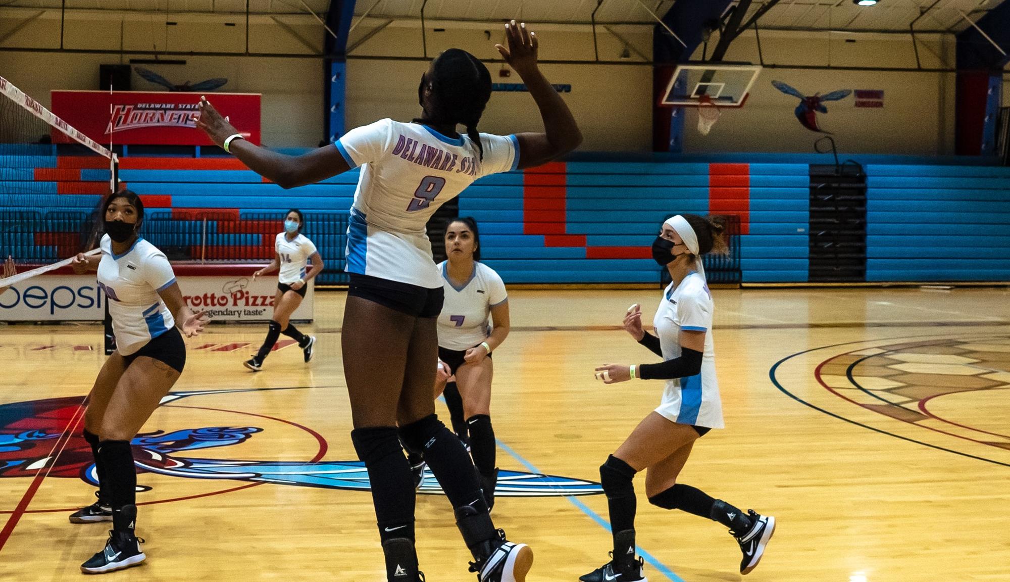 DSU VOLLEYBALL VISITS NORFOLK ST. FOR FIRST OF BACK-TO-BACK MATCHES ...