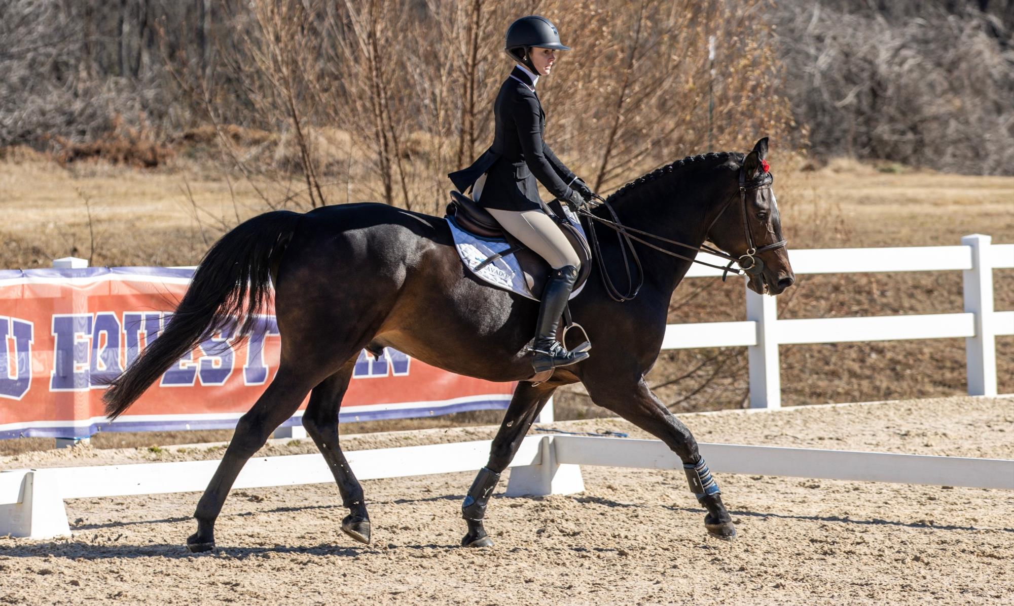 CROSTON, BROWN MOPs HIGHLIGHT HORNETS’ MATCH VS. NO. 1 TCU - Delaware ...