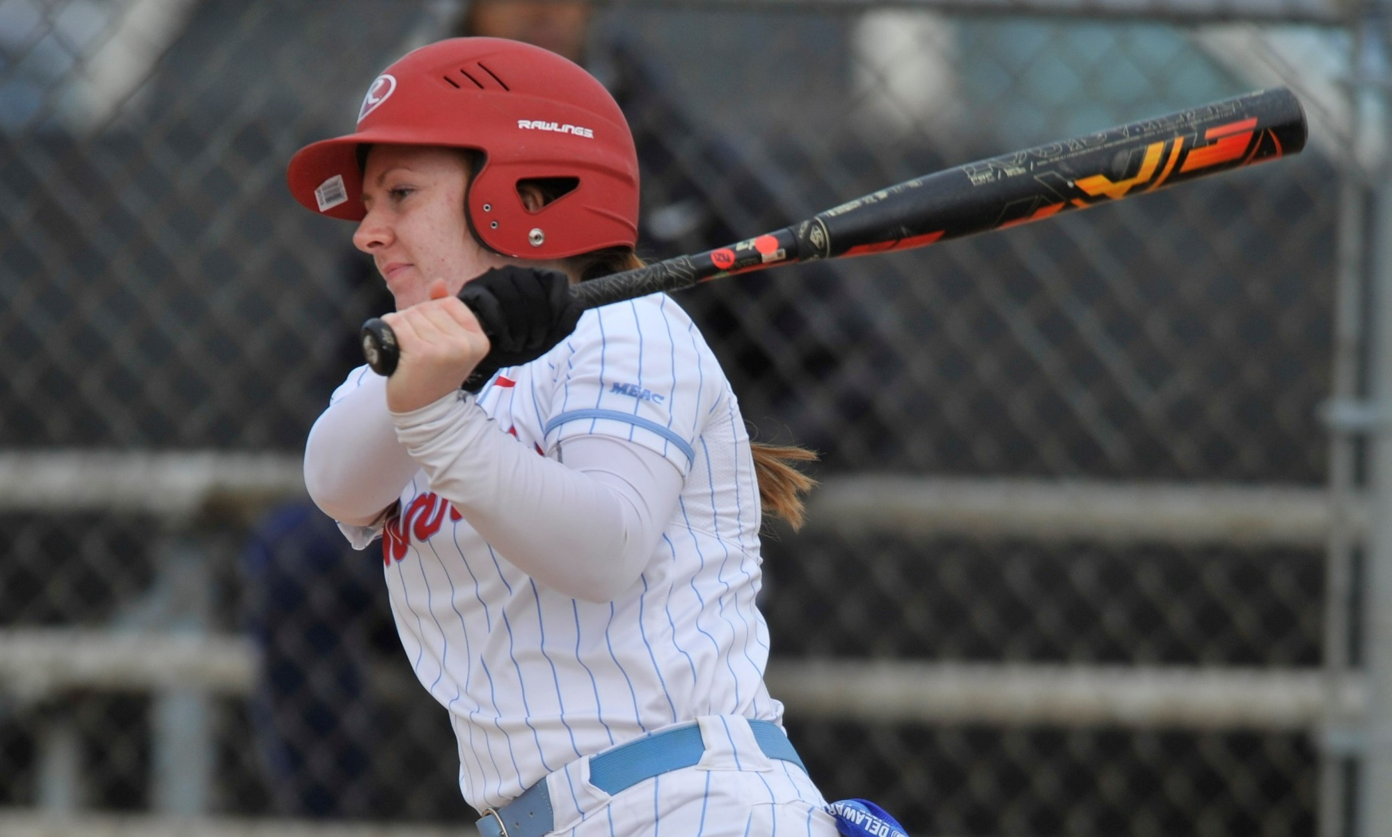 HORNETS COME UP SHORT IN DOUBLEHEADER SWEEP BY BISON - Delaware State ...