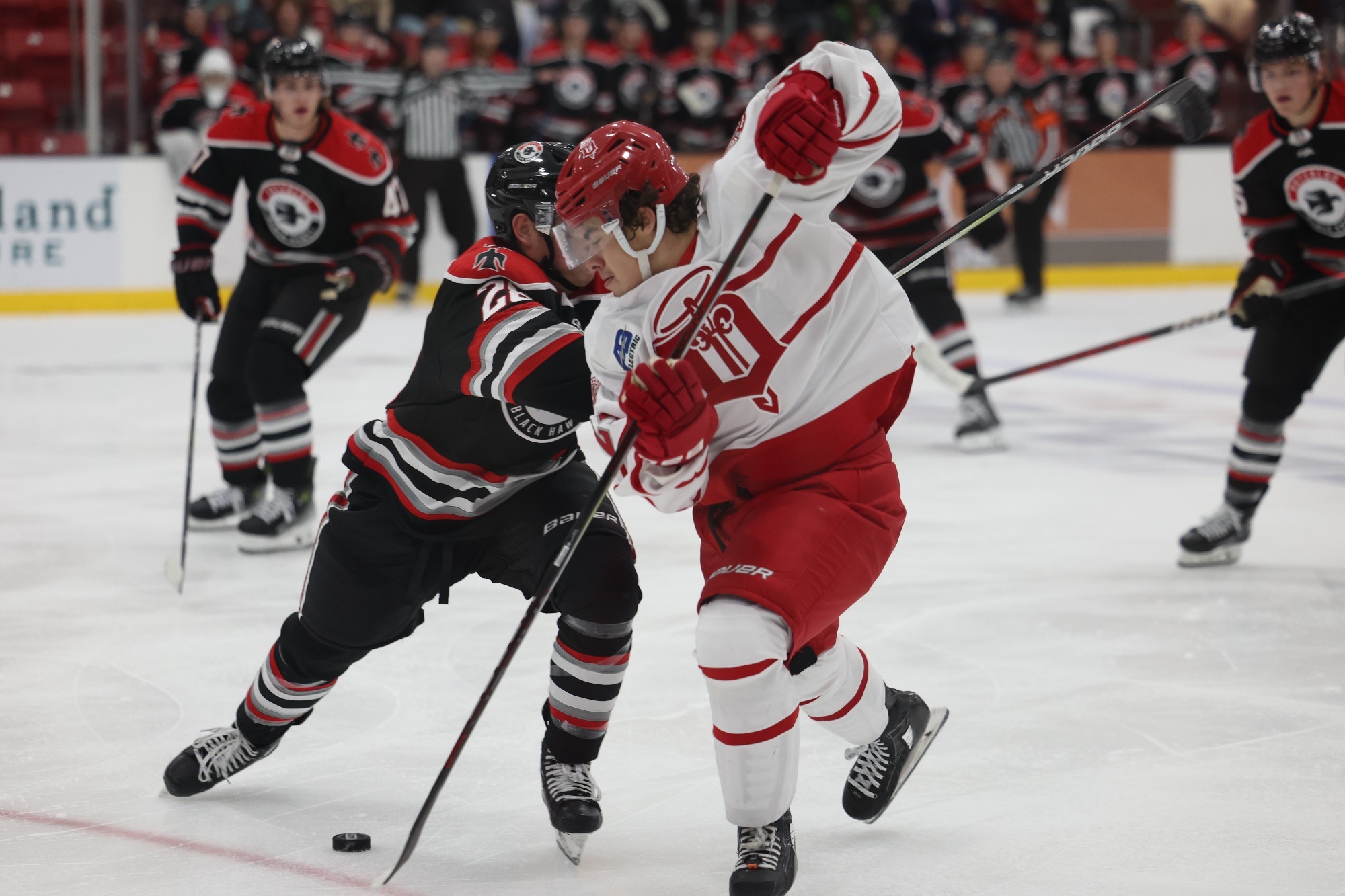 Fighting Five: Saints Travel to Waterloo - Dubuque Fighting Saints