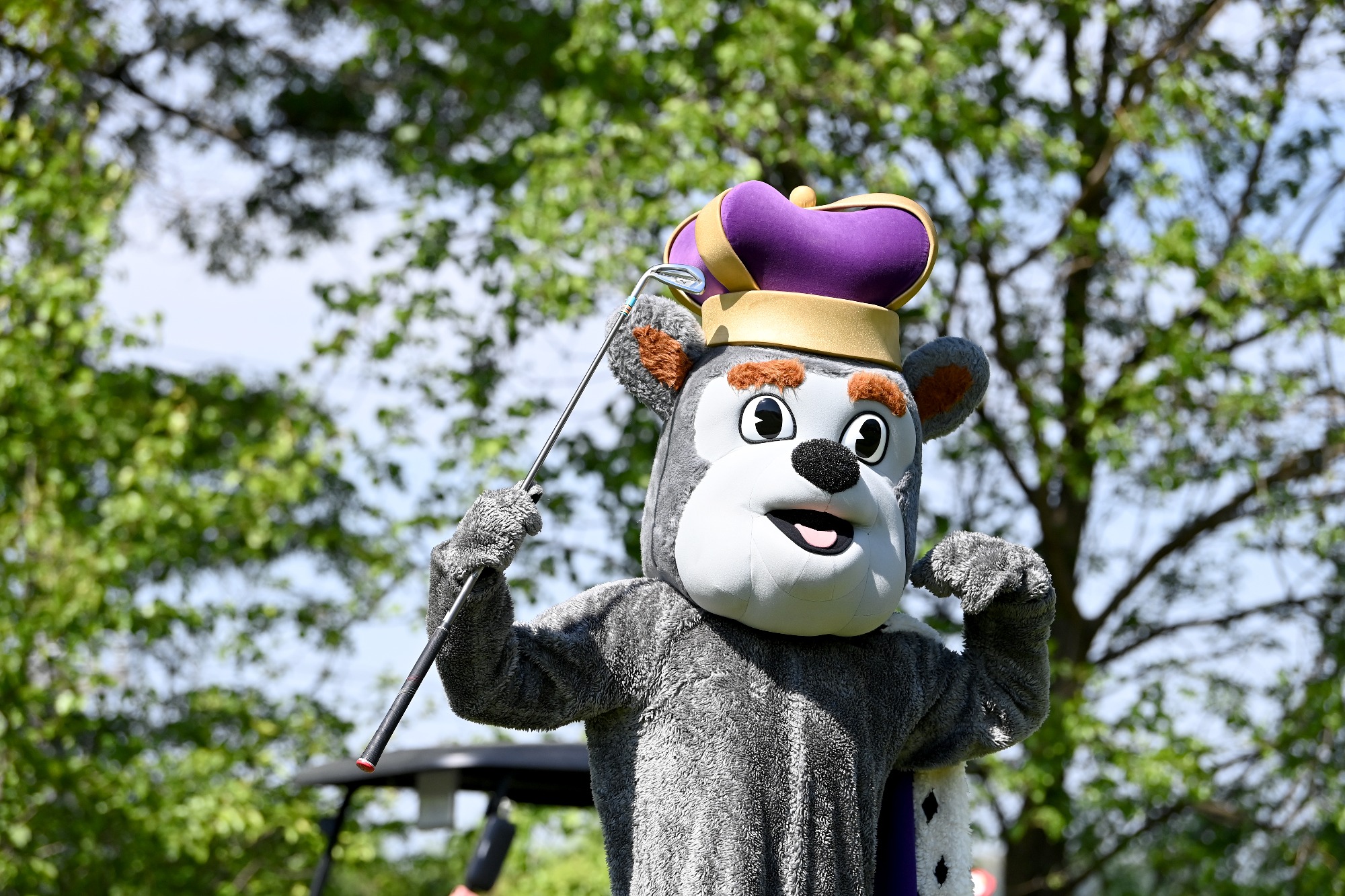 Duke Club Hosts 38th Annual Golf Classic - James Madison University ...