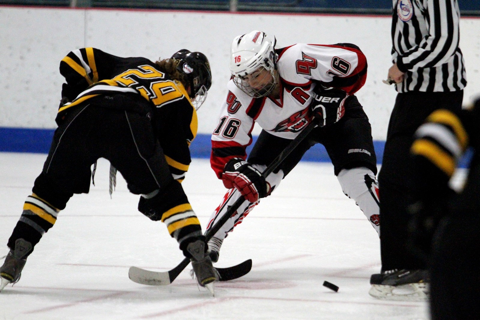 Caitlin Harrison - Women's Ice Hockey - Davenport University Athletics