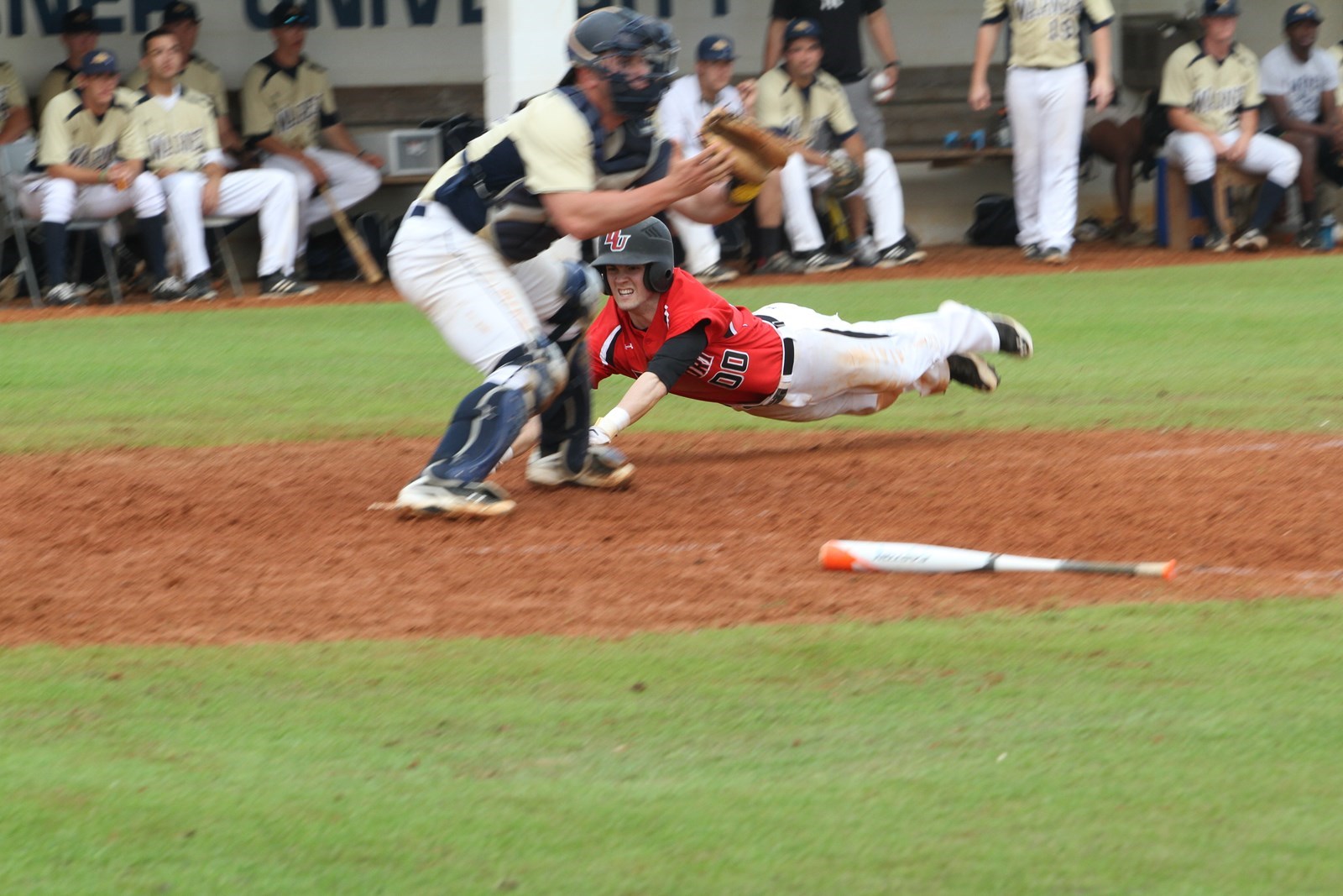 Connor Seymour - Baseball - Davenport University Athletics