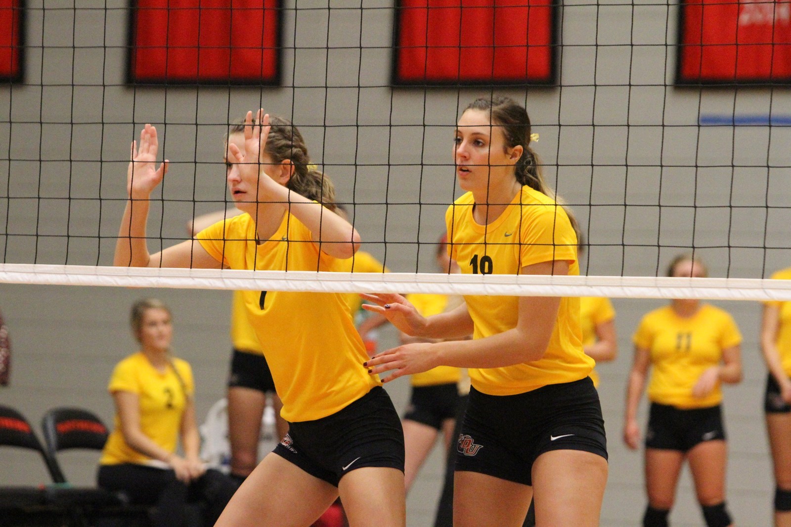 Sarah Wendling - Women's Volleyball - Davenport University Athletics