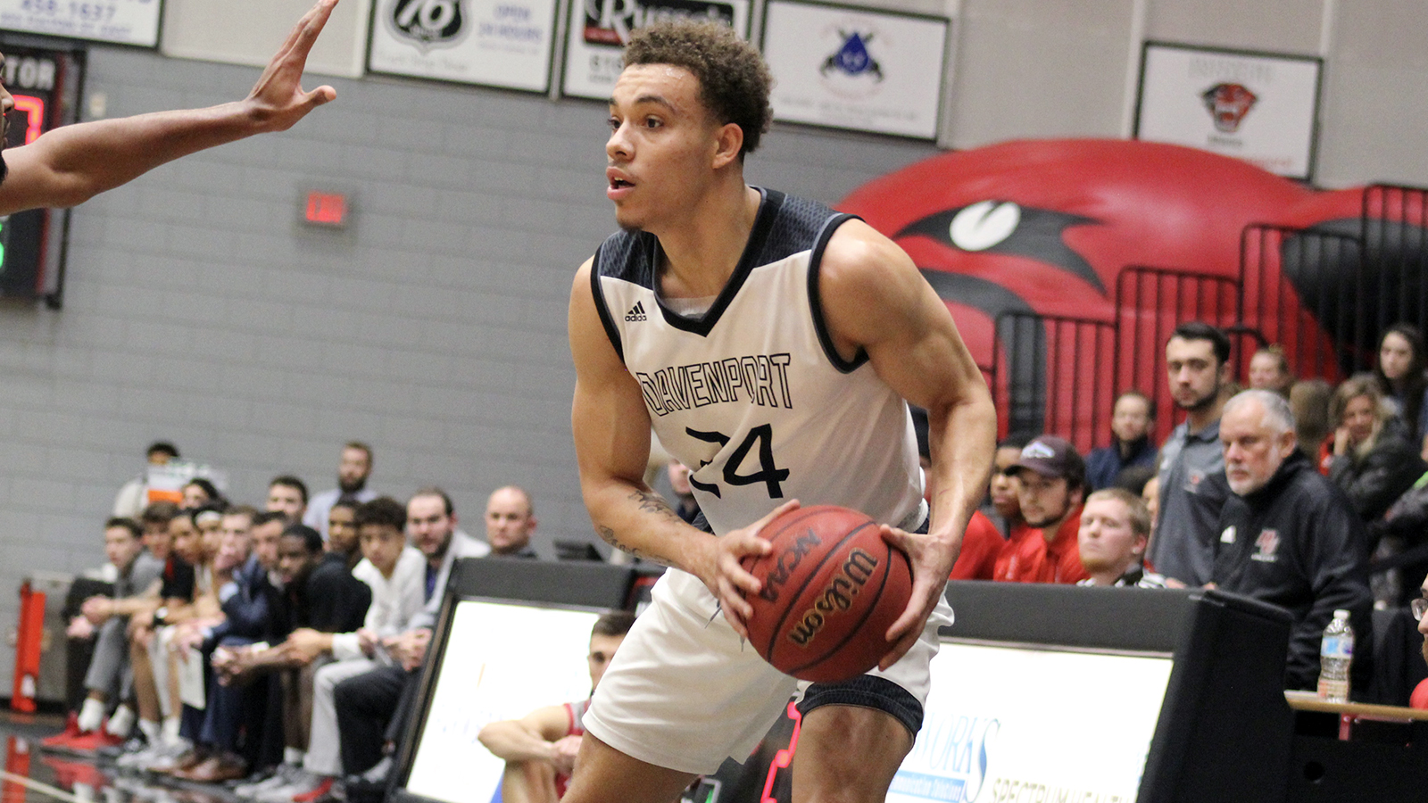 Evan Hines - Men's Basketball - Davenport University Athletics