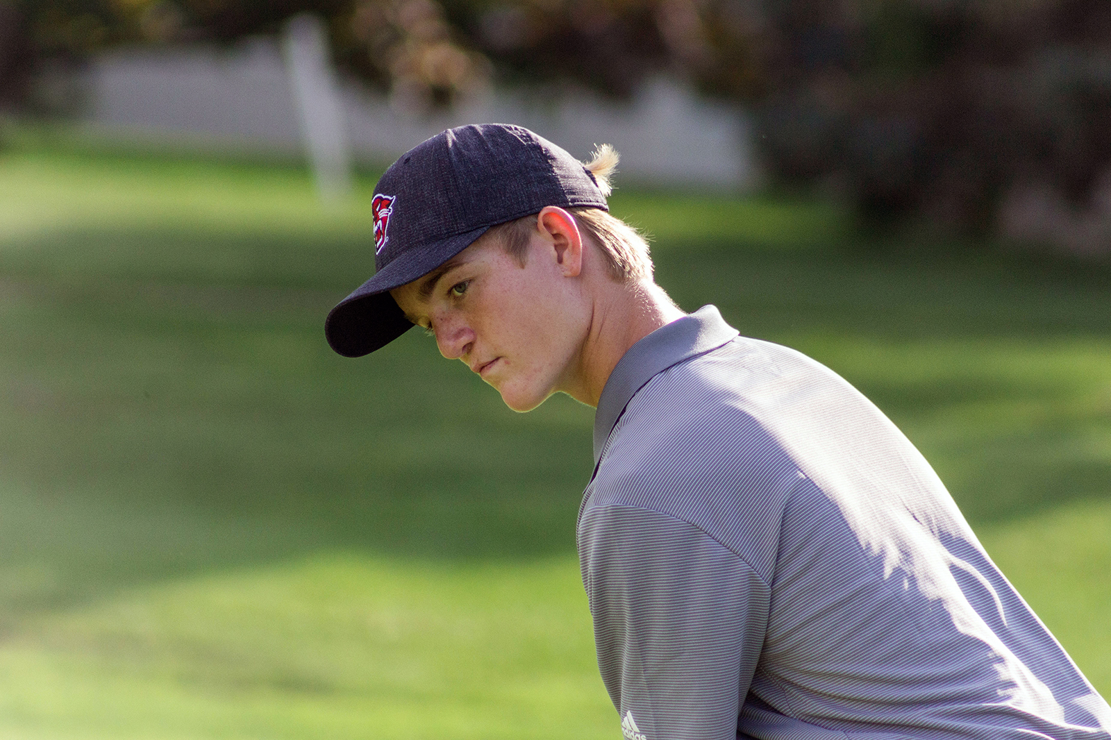 Luke Stauffer - Men's Golf - Davenport University Athletics