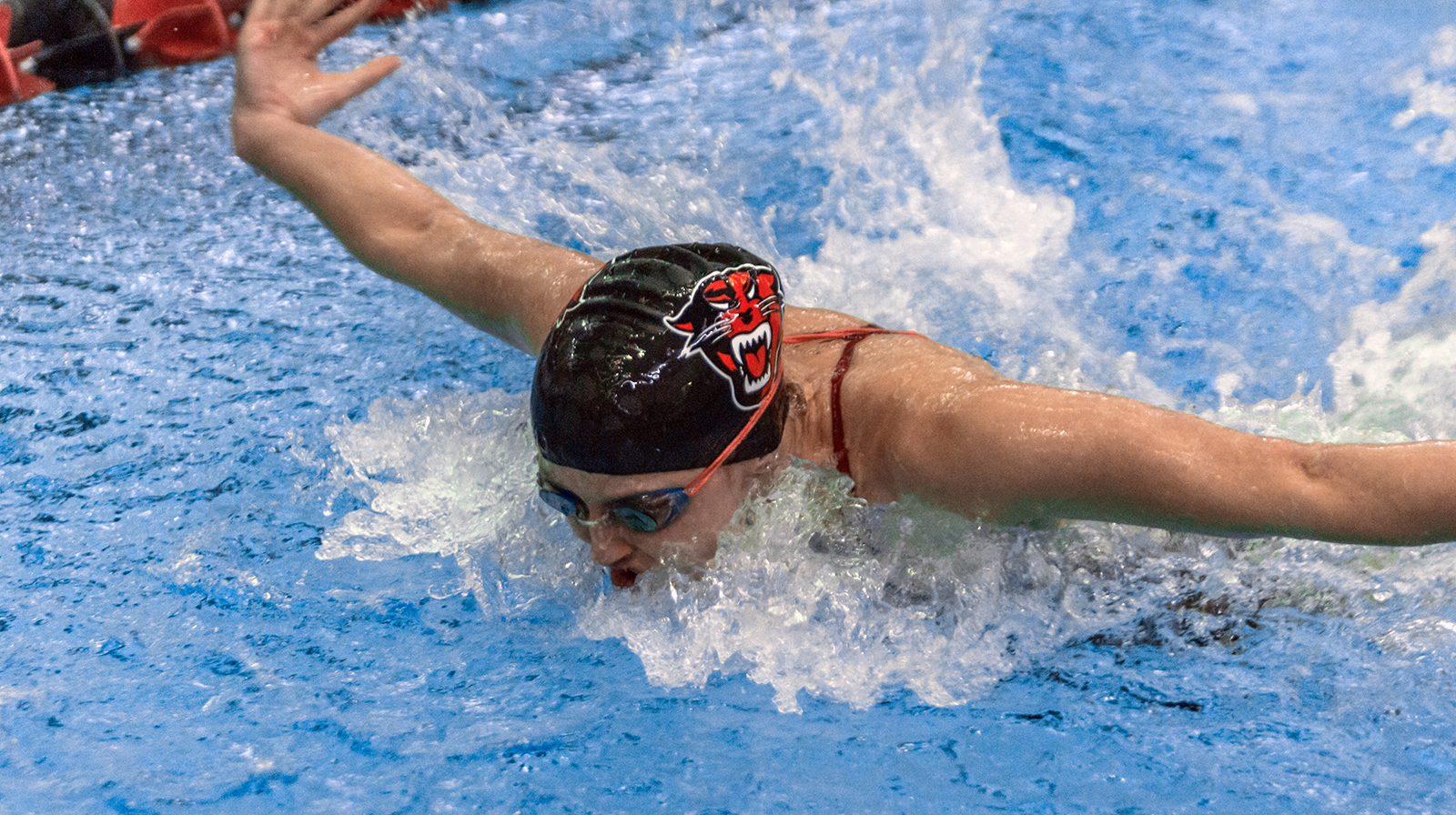 Allison Steffin - Women's Swimming and Diving - Davenport University ...