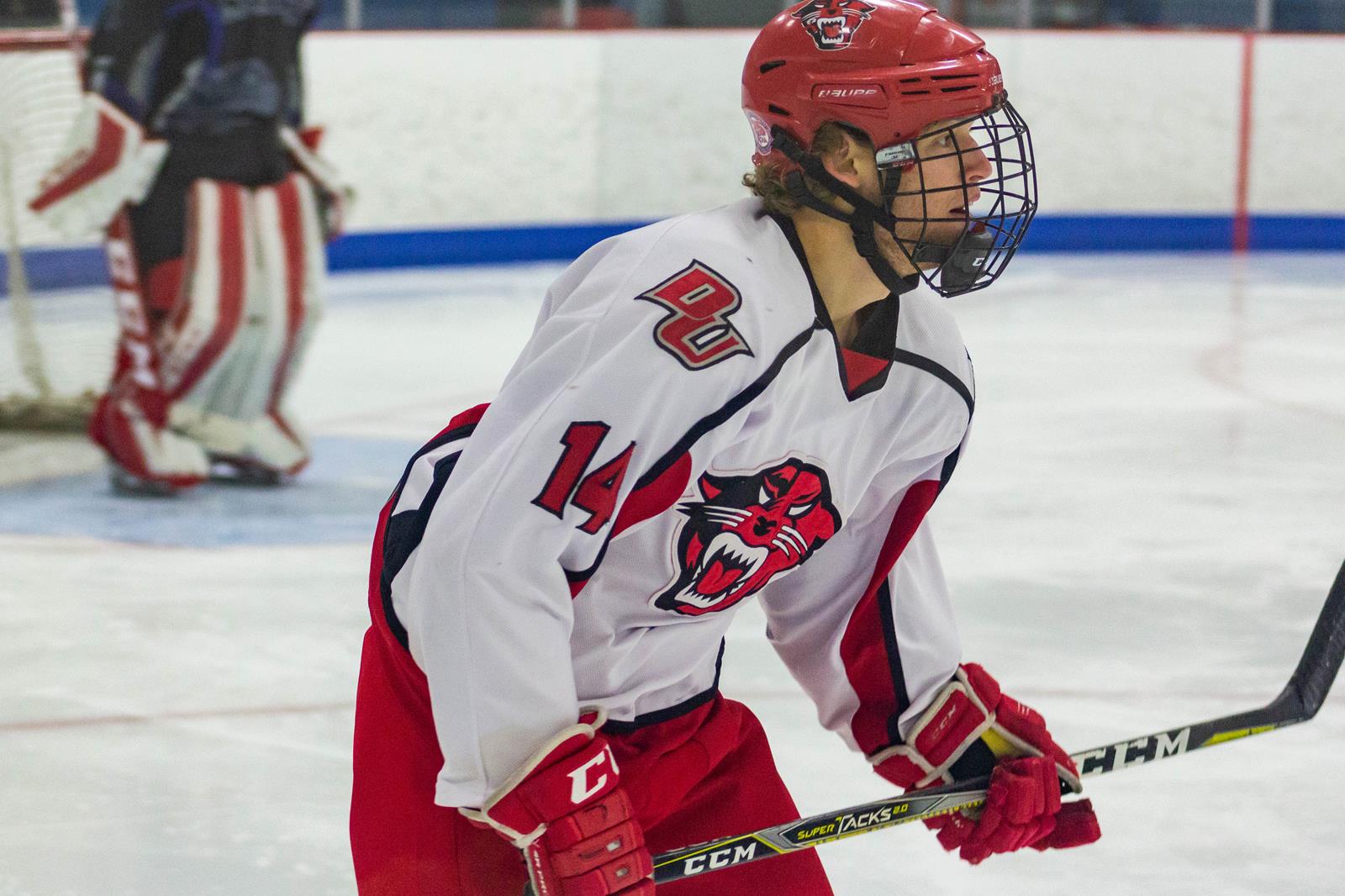 Rotondo's Return Helps Davenport Complete Sweep over Adrian - Davenport ...