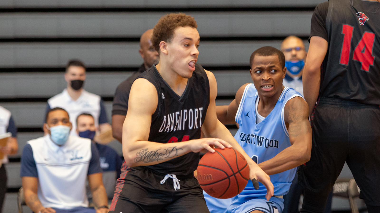 Evan Hines - Men's Basketball - Davenport University Athletics