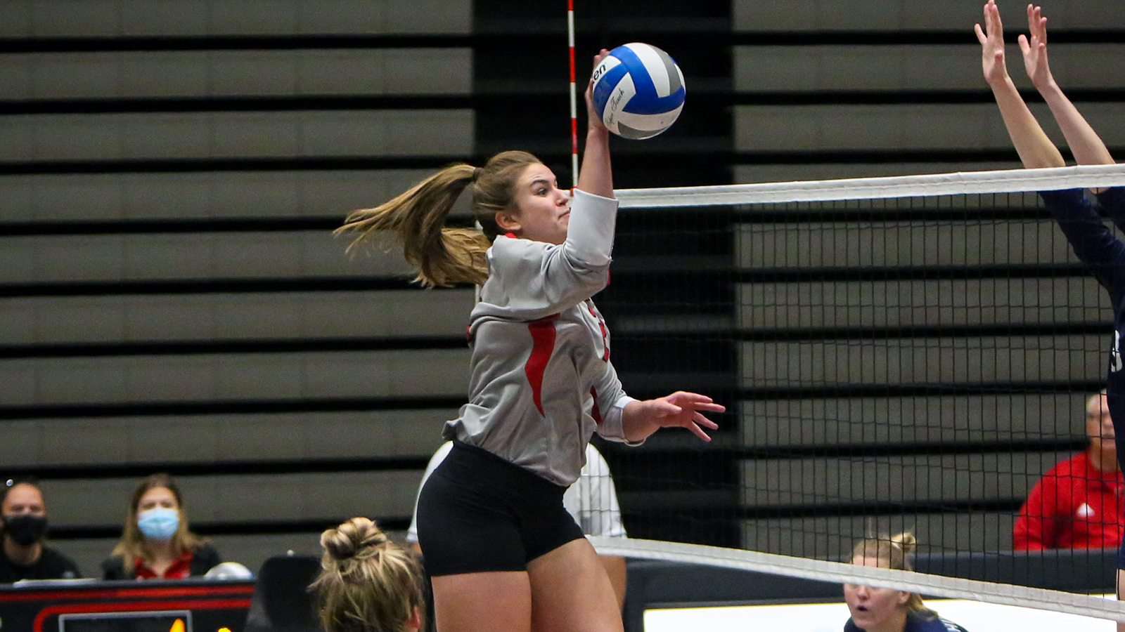 Megan Herr - Women's Volleyball - Davenport University Athletics